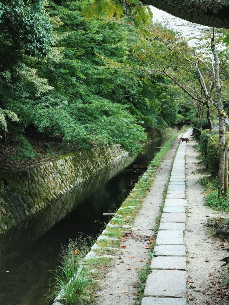 The Perfect 2 Day Kyoto Itinerary - Ruth Nuss