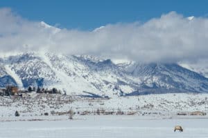 The Ultimate Jackson Hole Travel Guide - Ruth Nuss